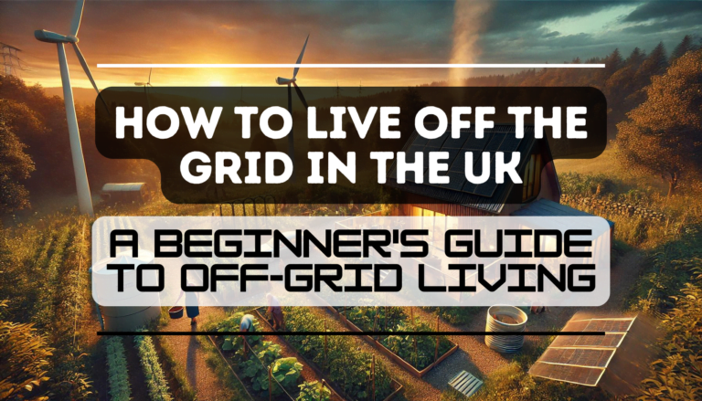 How to Live Off the Grid in the UK: A Beginner's Guide to Off-Grid ...